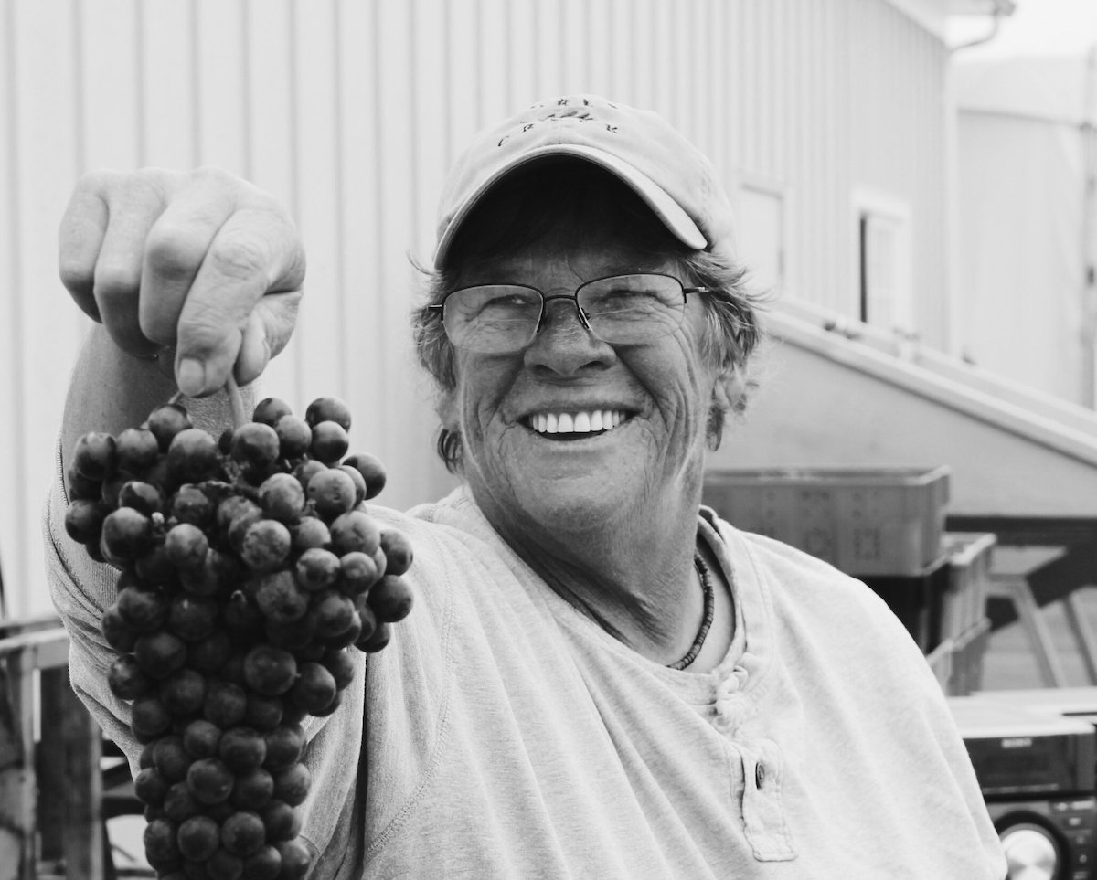 Bedell Cellars vineyard manager Donna Rudolph wins Grape Grower of the ...